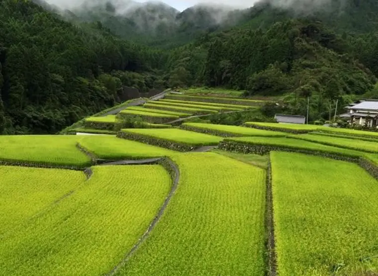 Kyushu Island in southern Japan | Japan Experience