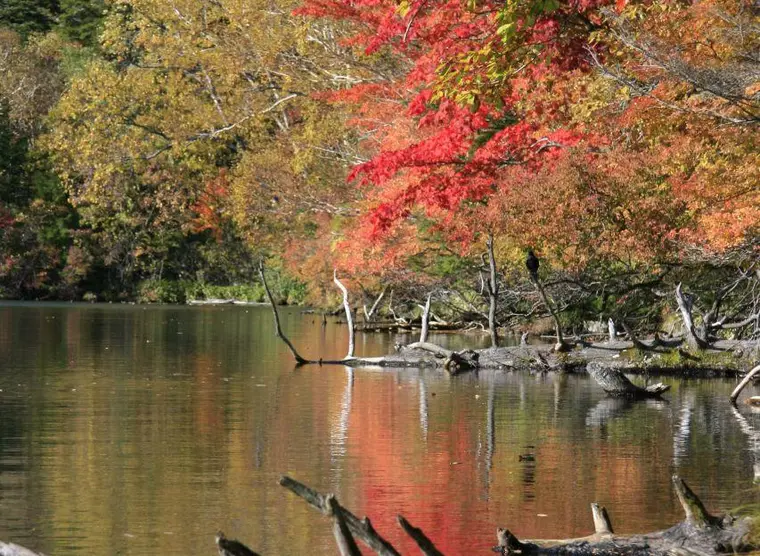 Autumn in Nikko | Japan Experience
