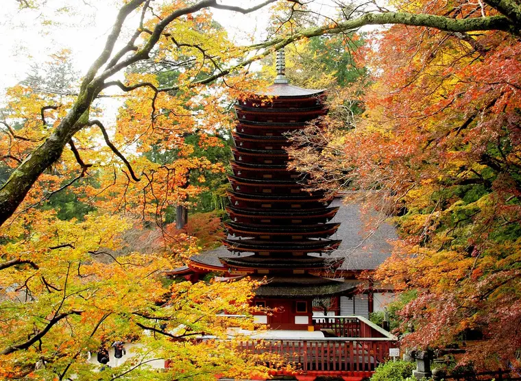 Tanzan Shrine | Japan Experience