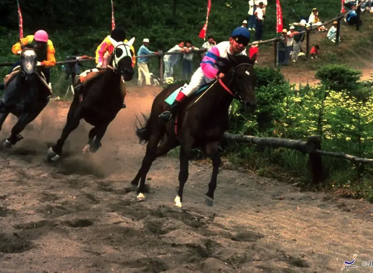 The horse in Japan | Japan Experience