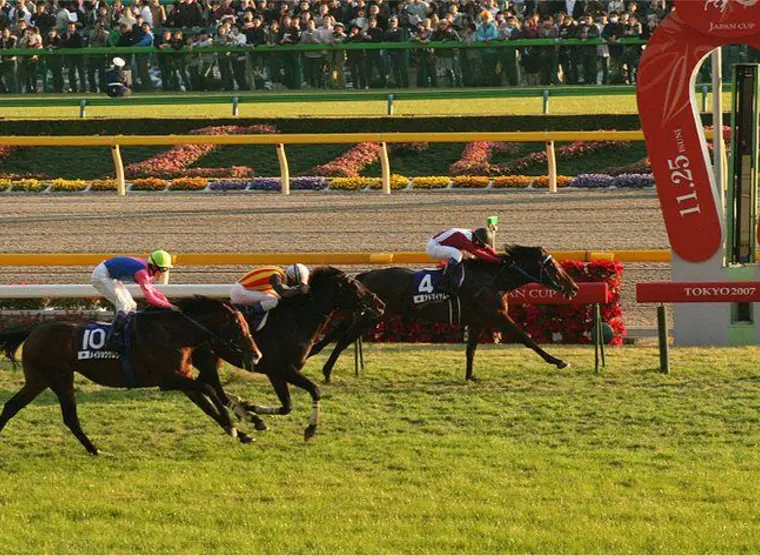 The horse in Japan | Japan Experience