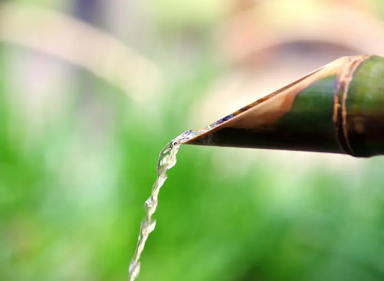 The Wa | Japan Experience