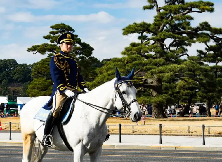 Gengo, Japanese imperial era names | Japan Experience