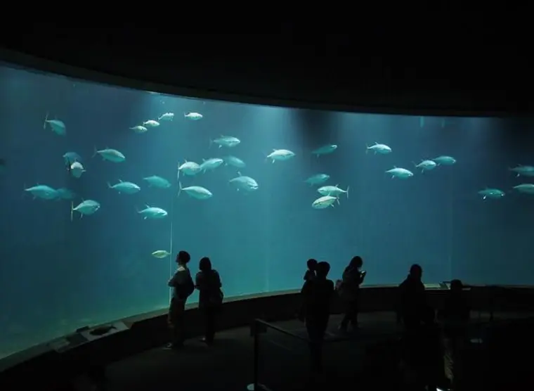 Tokyo Sea Life Park | Japan Experience