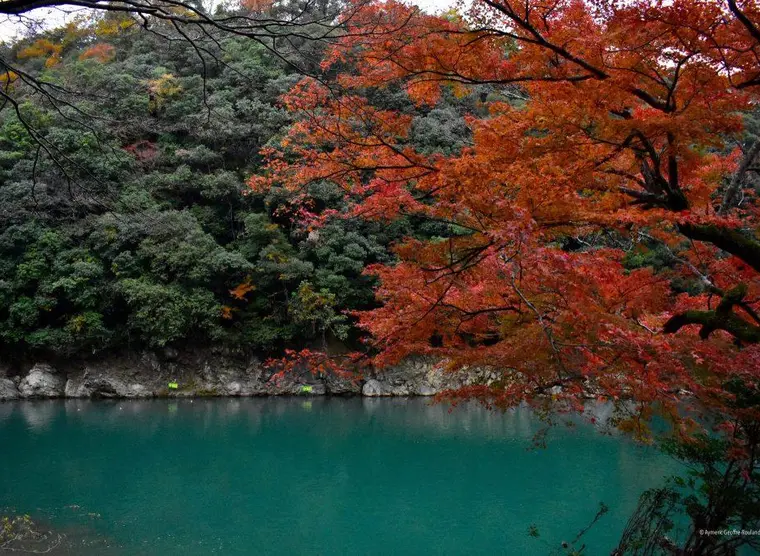 Kôyô, voyager l'automne au Japon | Japan Experience