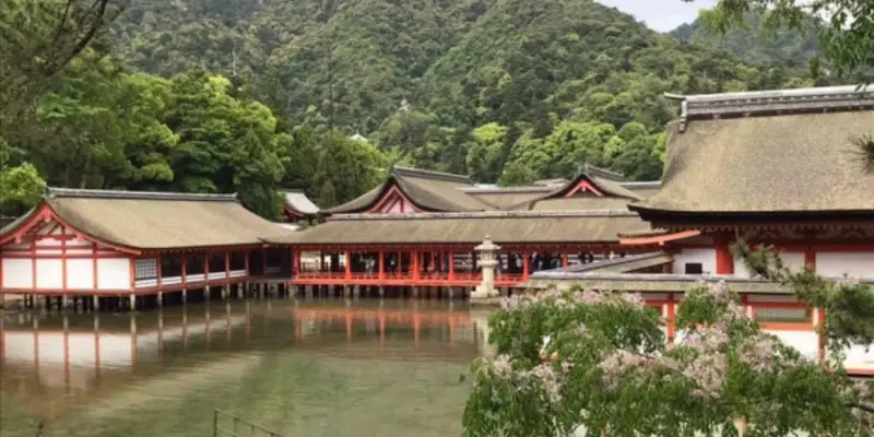 Japan Activity: Discover Miyajima | Japan Experience