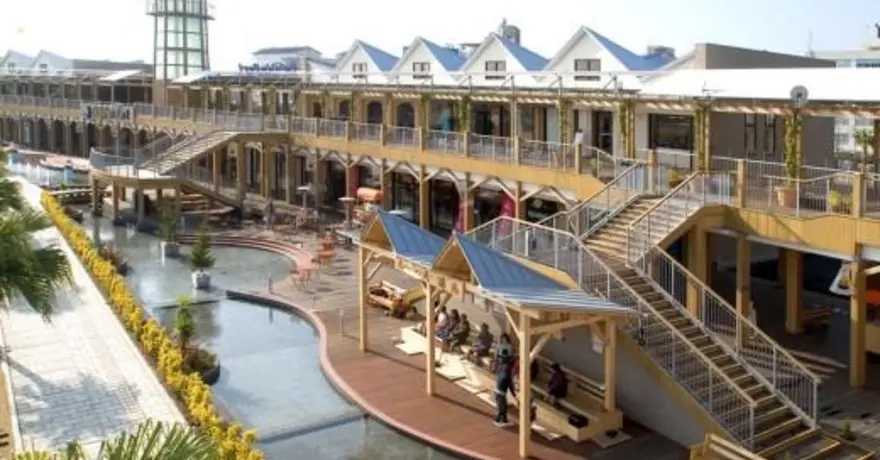 Dolphin Port | Japan Experience