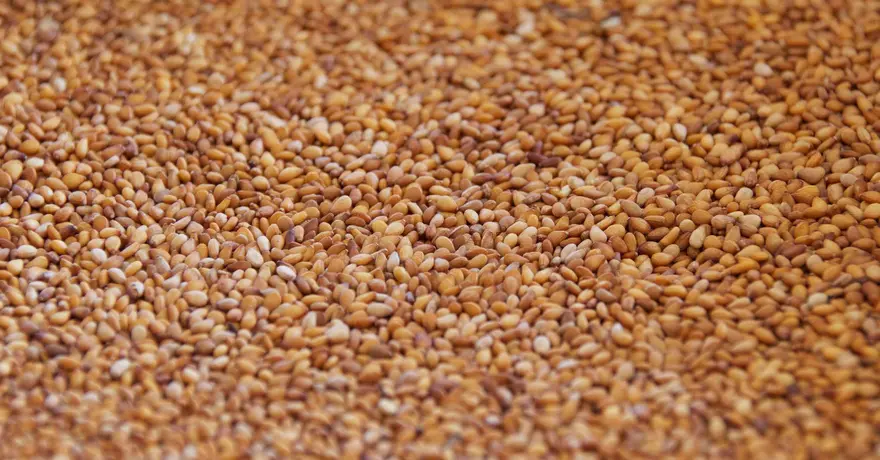 Sesame in Japanese cuisine | Japan Experience