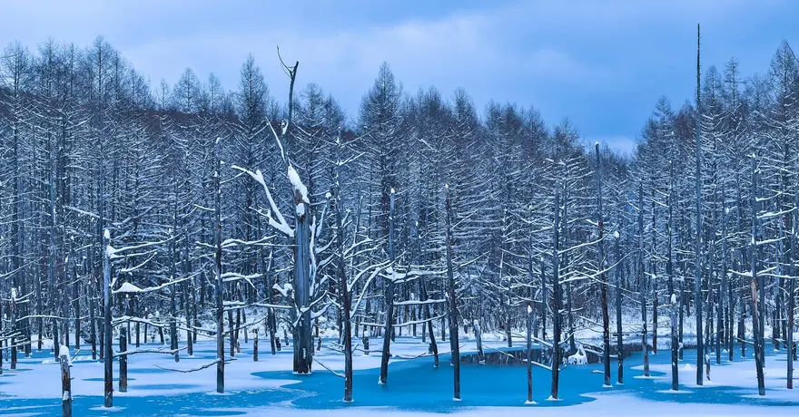 The most beautiful snowy Japanese landscapes | Japan Experience